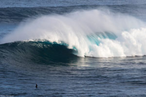 Surfing Pe'ahi - Jaws Maui - 2025 JAWS Surf Video & Photos